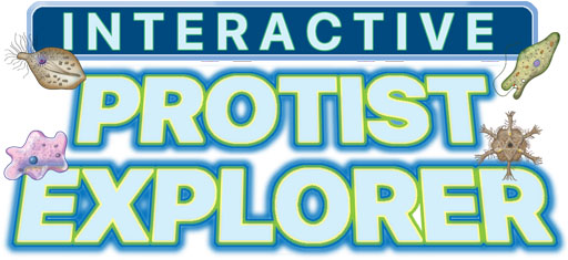 Interactive Protists